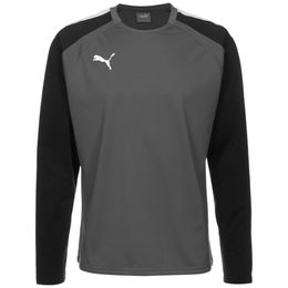 Puma Sportsweatshirt Herren Größe XXL grau / dunkelgrau / weiß