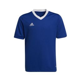 adidas Performance Funktionsshirt 'Entrada 22' Jungen Größe 164 royalblau / weiß