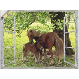 Wandbild Artland "Fensterblick - Pony mit Kind" Bilder Gr. B/H: 120 cm x 90 cm, Wandaufkleber - Vinyl Haustiere, 1 St., grün Kunstdrucke als Leinwandbild, Poster, Wandaufkleber in verschied. Größen