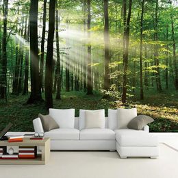 Komnni 3d-Fototapete, Wald, Sonnenlicht, Grüner Wald, Schlafzimmer, Wohnzimmer, Sofa, Tv-Hintergrund, Wandgemälde