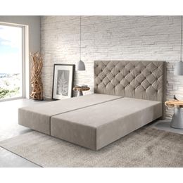 DeLife Boxspringgestell Dream-Great 160x200 cm Mikrofaser Beige, Bettgestelle