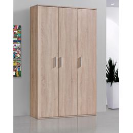 Mehrzweckschrank Procontour Schränke Gr. T: 34 cm, 3 St., Basisausführung, braun (sonoma eiche) Breite 96cm, mit Einlegeöden