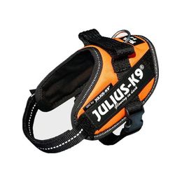 Julius K9 Julius-K9 IDC harness size: Mini-Mini UV Orange