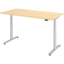 Hammerbacher VXDLR16 elektrisch höhenverstellbarer Schreibtisch ahorn rechteckig, T-Fuß-Gestell silber 160,0 x 80,0 cm