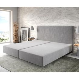 DeLife Boxspringgestell Dream-Well Mikrofaser Grau 200x200 cm, Boxspringbetten