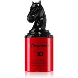 Armaf Bucephalus XI Eau de Parfum 100 ml