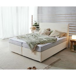 DeLife Boxspringbett Dream-Well Plüsch-Cord Beige 160x200 cm Bonell-Matratze PU-Topper, Boxspringbetten