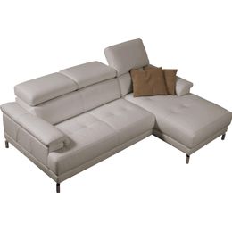 Ecksofa Egoitaliano "Soul, Design und Sitzkomfort auf hohem Niveau, tolle Details, L-Form", grau (stone), B:250cm H:99cm T:166cm, Leder &raquo;BULL&laquo; (echtes Rindsleder). Geschliffenes, pigmentiertes und behandeltes Rindsleder mit einer Dicke von 1, 3-1, 5 mm. Dieses Leder zeigt eine ziemlich weiche Hand mit einem halb undurchsichtigen Aussehen. Es handelt sich um ein gesch&uuml;tztes Leder. Eine leichte Deck