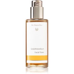 Dr. Hauschka Cleansing And Tonization Gesichtstonikum 100 ml