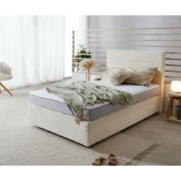 DeLife Boxspringbett Dream-Well Plüsch-Cord Beige 120x200 cm Bonell-Matratze PU-Topper, Boxspringbetten