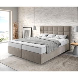 DeLife Boxspringbett Dream-Fine 160x200 cm Mikrofaser Beige mit Matratze und Topper, Boxspringbetten