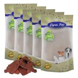 5 kg LYRA PET® Rindfleischstreifen