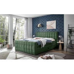 Boxspringbett ED EXCITING DESIGN "Loberie", grün (oliv), B:183cm L:222cm, 95% Polyester, 5% Polyamide, Komplettbetten, mit Strasssteinen im Kopf- und Fußteil, inkl. Bettkasten, Topseller