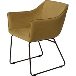 Schalenstuhl Tom Tailor HOME "T-VELVET ARMCHAIR" Stühle Gr. B/H/T: 56 cm x 82 cm x 61 cm, 2 St., Samtstoff STC, Metall, goldfarben (gold mustard)