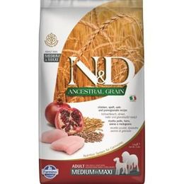 N&D Farmina Ancestral Grain Adult Medium/Maxi Huhn, Dinkel und Granatapfel 2,5 kg