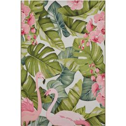 Outdoorteppich Hanse Home "Tropical Flamingo" Teppiche Gr. B/L: 200 cm x 285 cm, 3 mm, 1 St., bunt In-& Outdoor, Teppich, Wetterfest, Balkon, Garten, Wohnzimmer, Floral