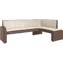 Eckbank exxpo - SOFA FASHION "Cortado, elegant und modern mit hohem Sitzkomfort" Sitzbänke Gr. B/H/T: 157 cm x 89 cm x 244 cm, Kunstleder SOFTLUX-Struktur fein, langer Schenkel links, braun (braun, creme) hohe Bodenfreiheit, schöne Detailverarbeitung, wahlweise Lederbezug