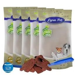 5 kg LYRA PET® Rindfleischstreifen + Ballschleuder