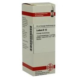 DHU-Arzneimittel Ledum D 12 Dilution 20 ml