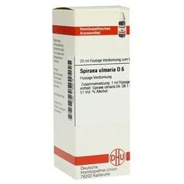 DHU-Arzneimittel Spiraea Ulmaria D 6 Dilution 20 ml