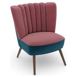 Sessel Max Winzer "build-a-chair Aspen, Loungesessel mit Samtvelours Bezug" Gr. Samtvelours, Korpus Samtvelours-Füße Buche Nussbaum, B/H/T: 72cm x 80cm x 67cm, bunt (petrol-rosé) im Retrolook, zum Selbstgestalten