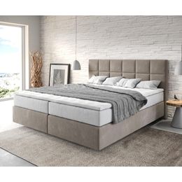 DeLife Boxspringbett Dream-Fine 180x200 cm Mikrofaser Beige mit TFK Matratze und Visco Topper, Boxspringbetten