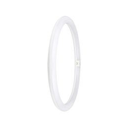 Osram LED-R&ouml;hre T9, Ringform, G10q, EEK: E, 24W, 2900lm, 6500K