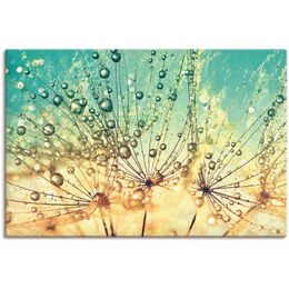 Wandbild Artland "Pusteblume Tropfenmagie" Bilder Gr. B/H: 90 cm x 60 cm, Leinwandbild Blumen, 1 St., blau als Alubild, Outdoorbild, Leinwandbild, Poster, Wandaufkleber