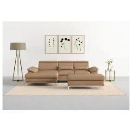 Sit & More Ecksofa SIT&MORE "Cabrio L-Form" Sofas Gr. B/H/T: 295 cm x 87 cm x 180 cm, NaturLEDER, Recamiere links, mit Bettfunktion-mit Bettkasten-mit Sitztiefenverstellung-mit Kopfteilverstellung-mit Armteilfunktion-mit 2 Nierenkissen-Bett im Stoff bezogen, braun (cappucino) mit Sitztiefen- und Armteilverstellung sowie Federkern, 2 Nierenkissen