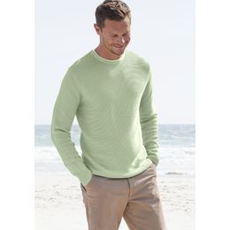 Strickpullover AUTHENTIC LE JOGGER Gr. S (44/46), grün, Herren, Strick, Obermaterial: 100% Baumwolle, unifarben, Pullover, mit Double-Layer Optik, Rundhalspullover aus reiner Baumwolle