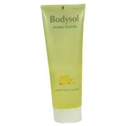 Bodysol Aroma Duschgel Grapefruit Ingwer 250 ml