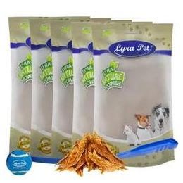 5 kg LYRA PET® Hühnerbrustfilet naturbelassen + Ballschleuder