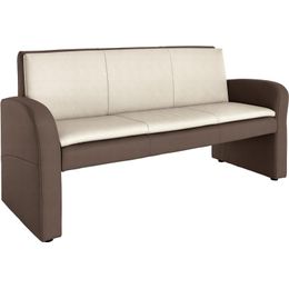 Hockerbank exxpo - SOFA FASHION "Cortado, 3-Sitzer mit hohem Sitzkomfort" Hocker Gr. B/H/T: 182 cm x 89 cm x 67 cm, braun (braun, creme) Polsterbank Hocker hohe Bodenfreiheit, schöne Detailverarbeitung, wahlweise Lederbezug