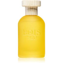 BOIS 1920 Cannabis Fruttata EDP Unisex 100 ml