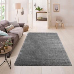 Home Deluxe - Hochflor Teppich SOFI Farbe: Dunkelgrau, Größe: 300 x 200 cm Teppich Hochflorteppich Flor Wohnzimmer