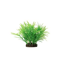 AQUAEL Decorative plant 10cm