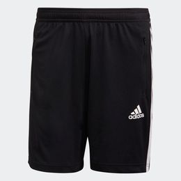 Adidas Primeblue Designed To Move Sport 3-Streifen Shorts