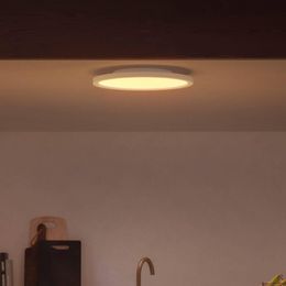 PHILIPS Hue White&Color Surimu Panel weiß Ø 39,5cm