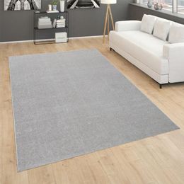 Teppich Für Wohnzimmer Einfarbig Kurzflor Schlicht Und Modern, In Silber 240x340 cm - Paco Home