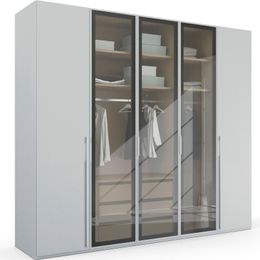 Drehtürenschrank Rauch "Kleiderschrank Schrank Garderobe SKAT SHINE mit hochwertigem" Schränke Gr. B/H/T: 251 cm x 223 cm x 63 cm, 5 St., grau (seidengrau) transparentem Grauglas inkl. umfangreichem Zubehör MADE IN GERMANY