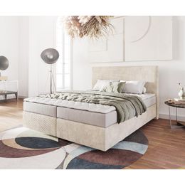 DeLife Boxspringbett Dream-Well 160x200 cm Cord Beige mit Matratze und Topper, Boxspringbetten