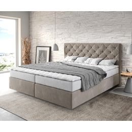 DeLife Boxspringbett Dream-Great 180x200 cm Mikrofaser Beige mit Matratze und Topper, Boxspringbetten