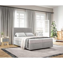 DeLife Boxspringbett Dream-Well 140x200 cm Cord Silbergrau mit Taschenfederkernmatratze und Topper Visco, Boxspringbetten