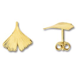 Paar Ohrhänger ONE ELEMENT "Ginkgoblatt Ohrringe Ohrstecker aus 333 Gelbgold" Gr. Damen, Gelbgold 333, goldfarben (gold) Damen Gold Schmuck Ginkgoblatt