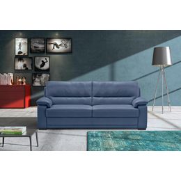 2,5-Sitzer Egoitaliano "Doris, modernes Designersofa, Ledersofa mit erstklassiger Sitzqualit&auml;t", blau (tide), B:192cm H:90cm T:93cm, Leder &raquo;BULL&laquo; (echtes Rindsleder). Geschliffenes, pigmentiertes und behandeltes Rindsleder mit einer Dicke von 1, 3-1, 5 mm. Dieses Leder zeigt eine ziemlich weiche Hand mit einem halb undurchsichtigen Aussehen. Es handelt sich um ein gesch&uuml;tztes Leder. Eine leichte D