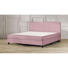 EMMA One Boxspringbett - rosa - 160x200 cm - schwarze Füße