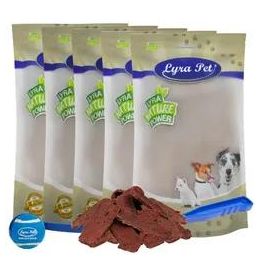 5 kg LYRA PET® Lammfleischstreifen + Ballschleuder