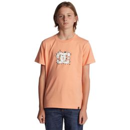 DC Shoes T-Shirt »Boom« Papaya Punch 12(148-156cm) 12(148-156cm) Material: Baumwoll-Jersey [200 g/m2]