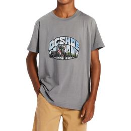 DC Shoes T-Shirt »Citywide« Pewter Potassium Spray 12(148-156cm) 12(148-156cm) Stoff: Jersey-Stoff aus Baumwolle [200 g/m2]