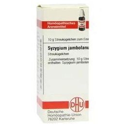 DHU-Arzneimittel Syzygium Jambolanum D 10 Globuli 10 g